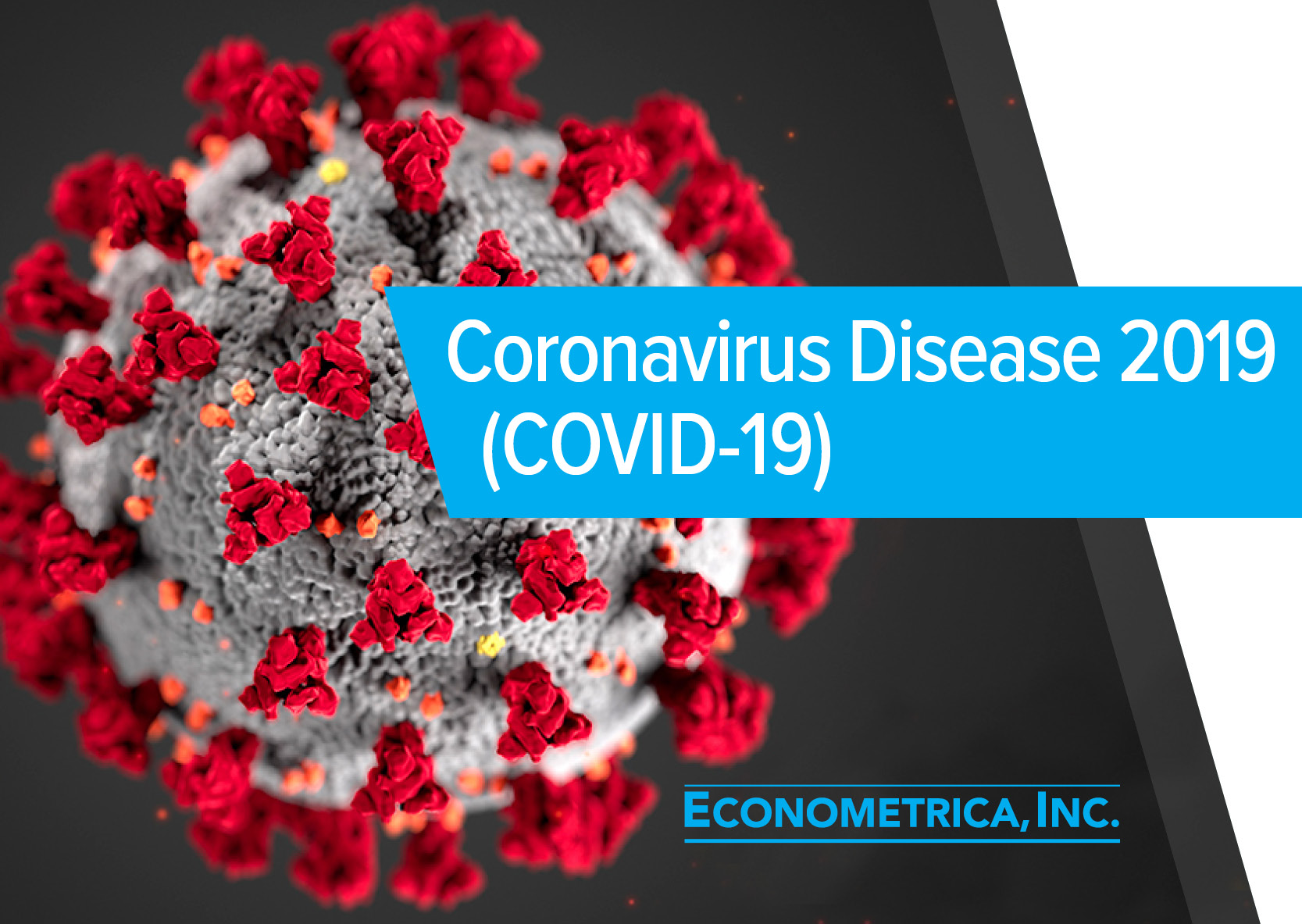 Econometrica Maintains Continued Operations During Coronavirus Pandemic