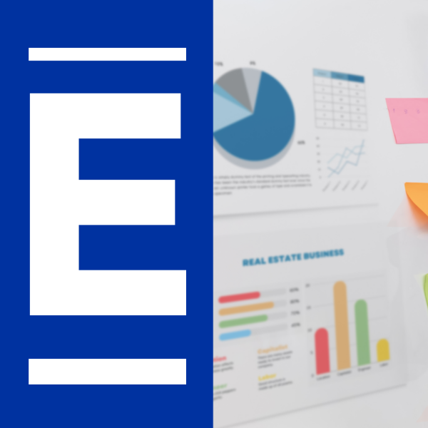 Projects | Econometrica, Inc.